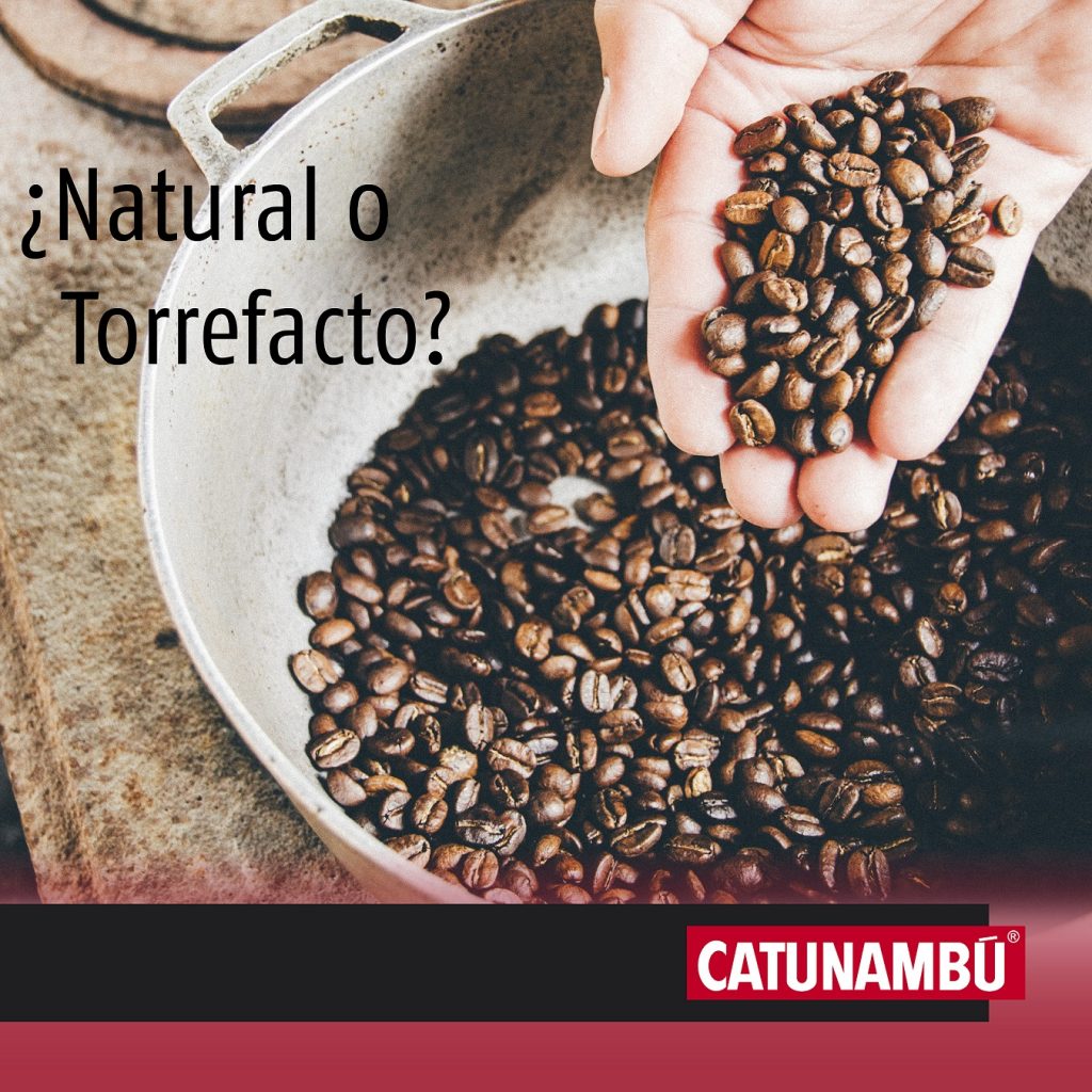 Café natural o Café torrefacto - Catunambu